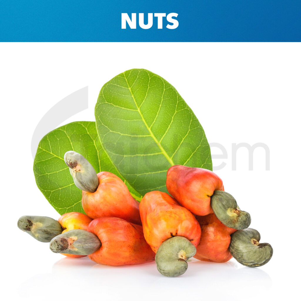 Food and Feed Ingredients - Tajchem